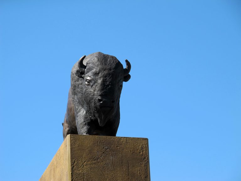 Adrian Stimson – Interdisciplinary artist and member of Siksika ...